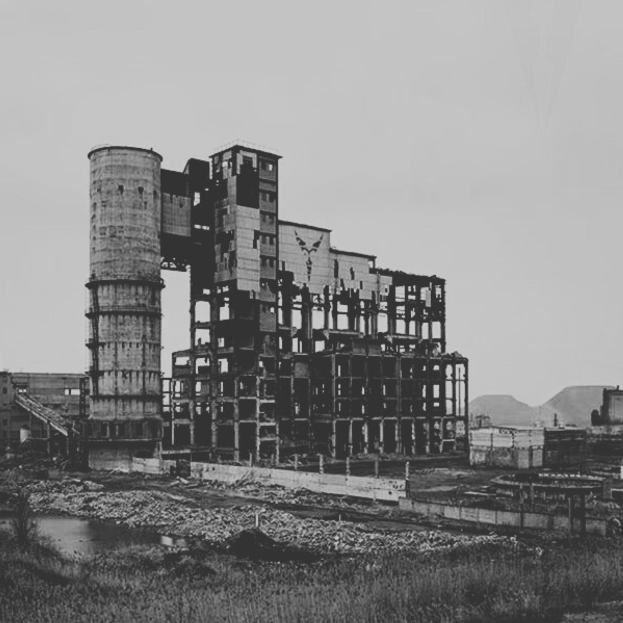 Vote: Best Experimental Metal Album of 2024? - METAL HAS NO BORDERS