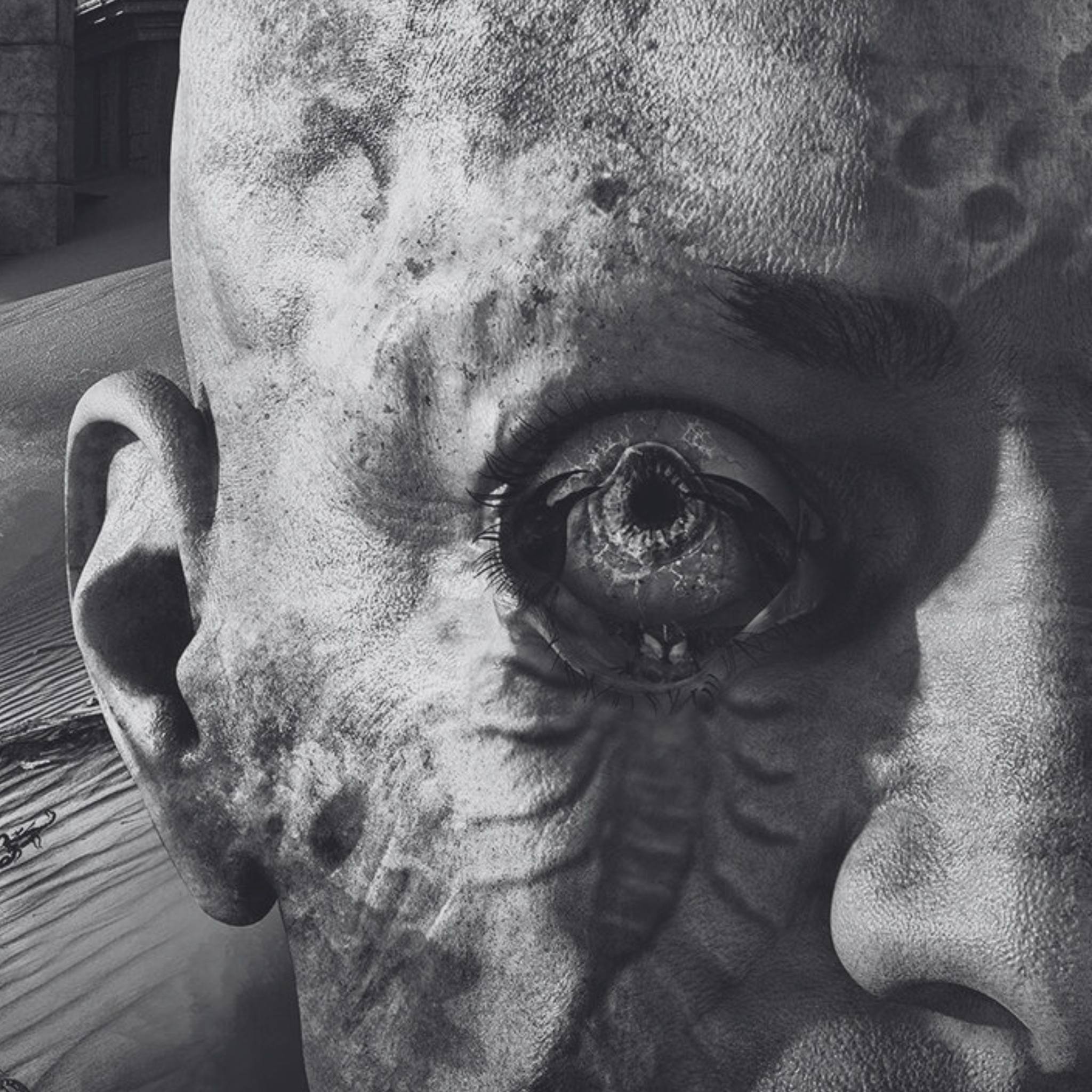 Vote: Best Black Metal Album of 2024? - METAL HAS NO BORDERS